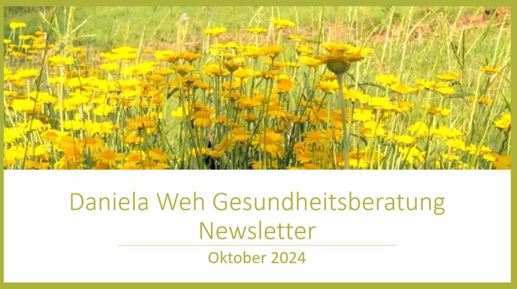 Newsletter Oktober 2024